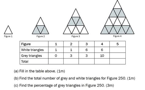 The Unsolvable 2019 Psle Mathematics Question Joyous Learning