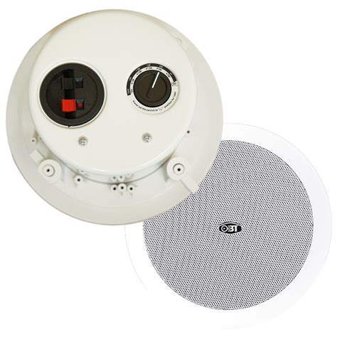 Professional Audio 30w Power Amplifier Line Array Ceiling Speaker China Ceiling Speaker And