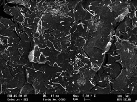 9 Ftir Spectra Of Mwcnt Pmma Composites Reprinted With Permission