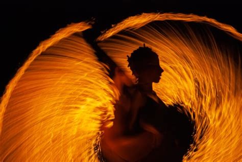 Premium Photo Phoenix Reborn