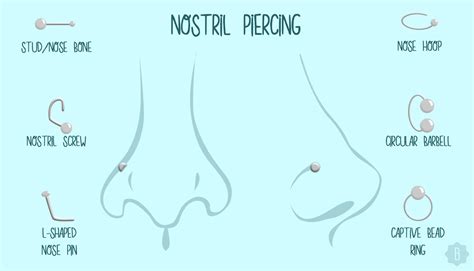 Types Of Nose Piercings Types Of Nose Rings Info Grap