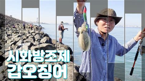 시화방조제 갑오징어 쭈꾸미 Youtube