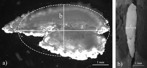 Example Of Ellipsoid Fitting Parameters A Horizontal Projection Of Download Scientific Diagram