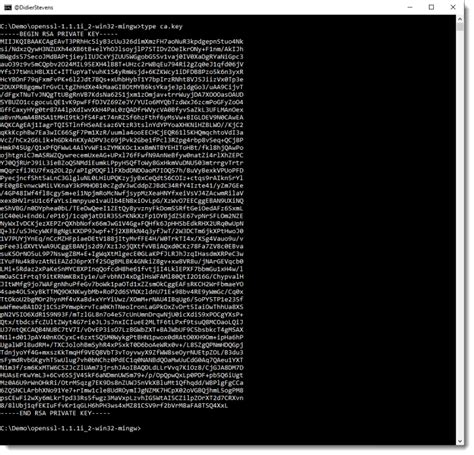 how to make your own cert with openssl on windows reloaded didier