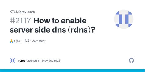 How To Enable Server Side Dns Rdns · Xtls Xray Core · Discussion 2117 · Github
