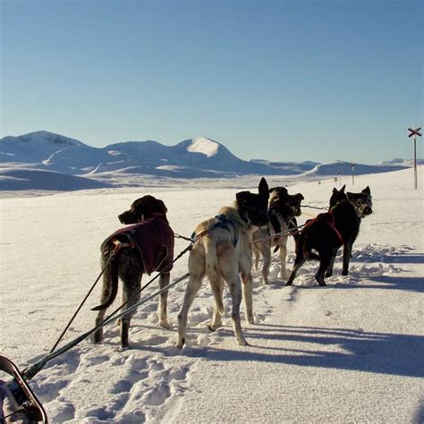 Michael Link Youtube