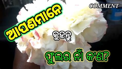 Phula Ra Naa Kana Youtube