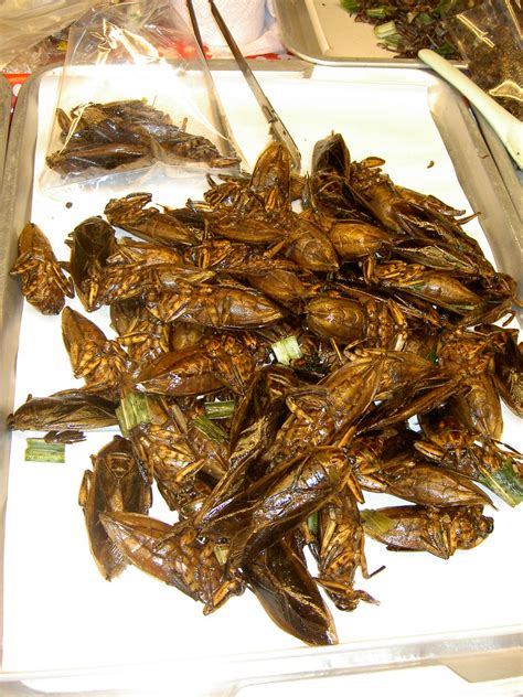 Deep Fried Cockroaches Part Of Annies Cooking Course A T Flickr