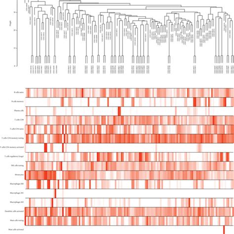 Wgcna Revealed Gene Coexpression Networks A Clustering Dendrogram Of
