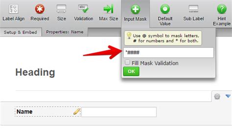 I Am Using A Masked Input Field And Users May Have A Negative Number To