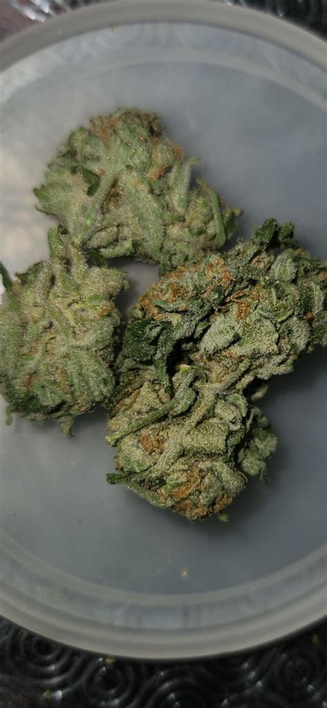 Crazy Glue 😍 R Ausents