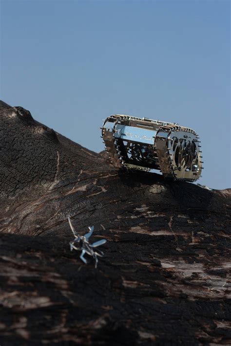 Bio Mimetic Swarm Organisms For Space Construction Autonomous