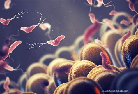 Fda Approves Voquezna For Helicobacter Pylori Infection In Adults