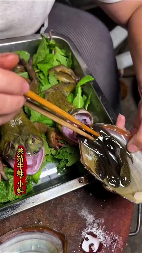 good morning ghana june 4 2025 good morning ghana june 4 2025 goodmorningghana