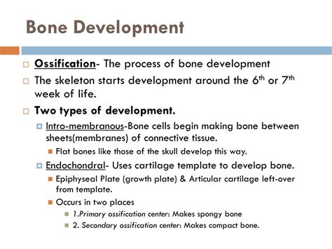 Ppt Bone Growth Development And Remodeling Powerpoint Presentation