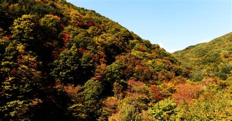 단풍이 물드는 지리산