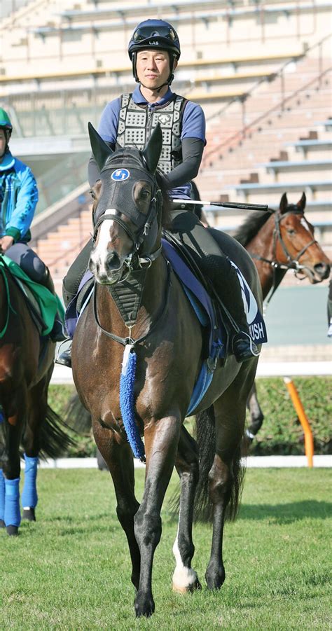 【注目馬動向】香港マイルで2着のソウルラッシュは今日10日に帰国 池江調教師「昨年よりも着順を上げている」 スポーツ報知