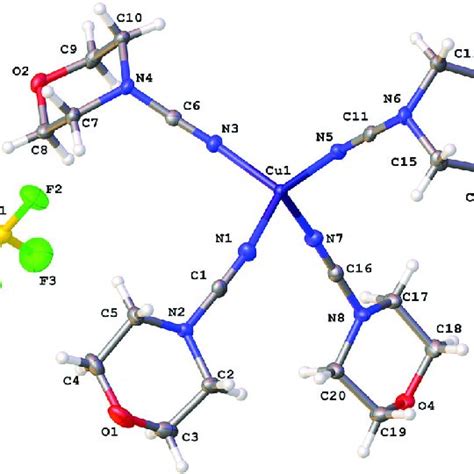 Molecular Structure Of 4 With The Atomic Numbering Scheme Thermal