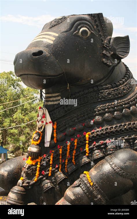 Top 999+ nandi images hd – Amazing Collection nandi images hd Full 4K