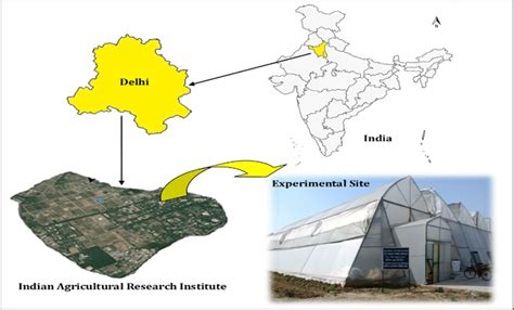 Location Of Icar Indian Agricultural Research Institute New Delhi