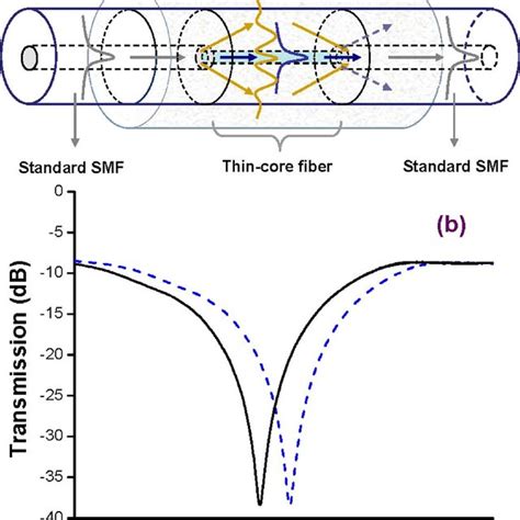 Pdf Biocompatible Fiber Optic Ph Sensor Based On Optical Fiber Modal Interferometer Self
