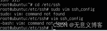Ubuntu Server Lts Ubuntu Lts Ifconfig Csdn