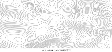 地形等高線マップ。似顔絵イラスト。地形と地理マップグリッド抽象的背景。ビジネスコンセプト。フィレットテクスチャ、サケのフィレットテクスチャ、魚