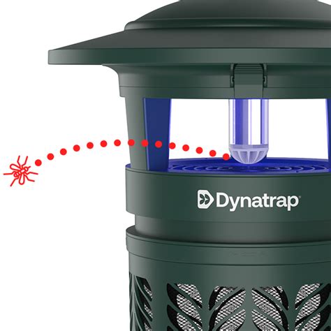 Dynatrap® 1 Acre Led Willow Outdoor Insect Trap Forest Green