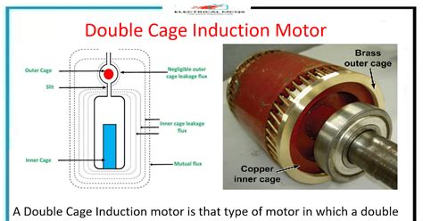 In A Double Cage Induction Motor The Inner Cage Has Cupuacus Blog