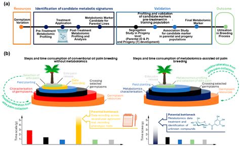 Metabolomics Assisted Breeding In Oil Palm Potential And Current Perspectives