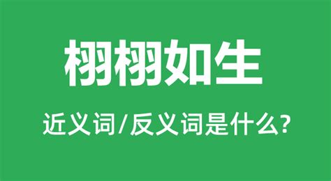 栩栩如生的近义词和反义词是什么 栩栩如生是什么意思 学习力