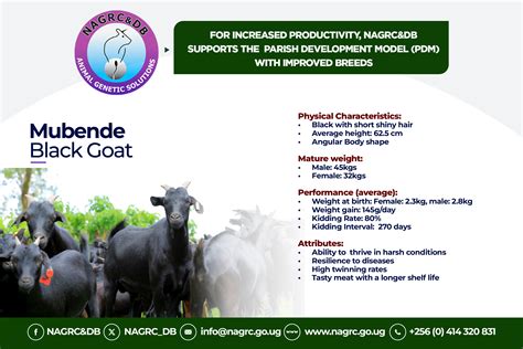 National Small Ruminants Breeding Resources Centre Unit Goats And