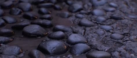 Oday Abu Zaeed On Linkedin Hey Everyone A Fully Procedural Muddy