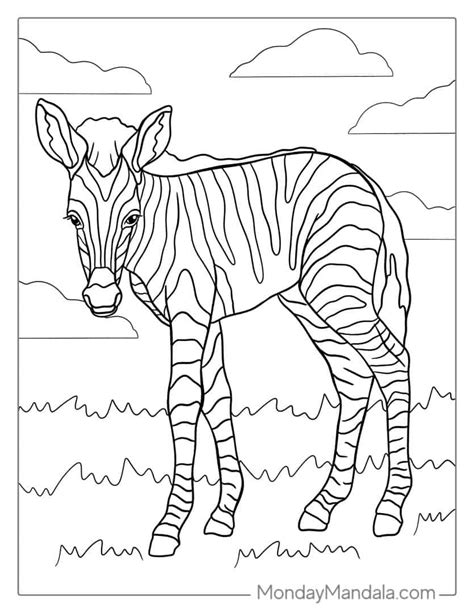 33 Zebra Coloring Pages Free Pdf Printables