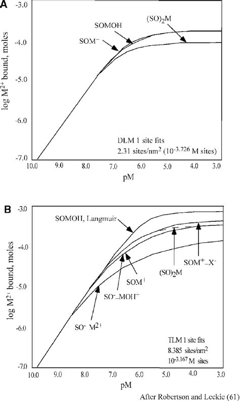 Calculated Adsorption Isotherm Behavior Using Two Different Surface