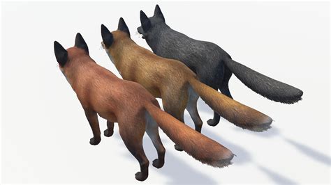 3d Fox Male Model Turbosquid 2107378