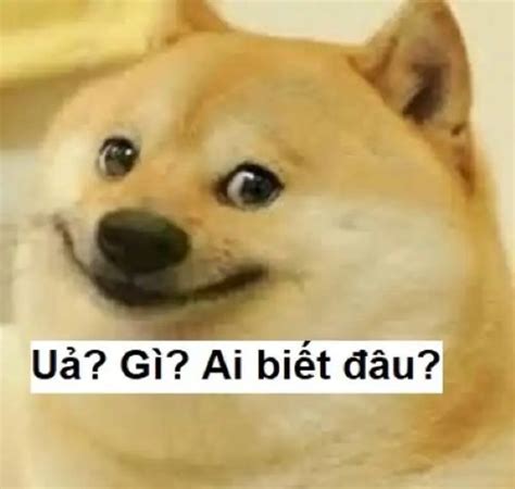 Tổng Hợp 162 ảnh Meme Ai Biết Gì đâu Hài Hước Viral Nhất