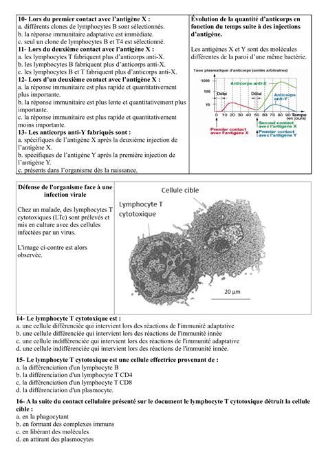 Le Fonctionnement Du Système Immunitaire Humain