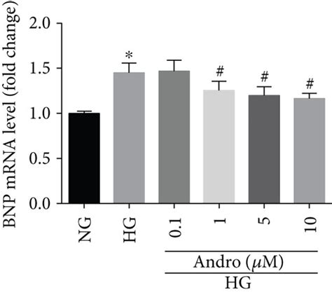 Andro Treatment Inhibits Diabetes Induced Cardiac Hypertrophy A And