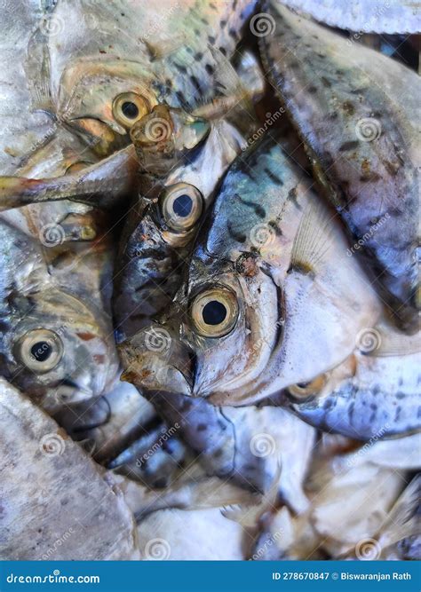 Spotted Half Moon Fish Pile In Indian Fish Market For Sale HD Mene