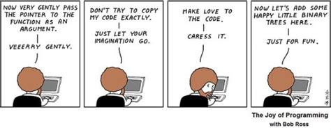 The Joy Of Programming R ProgrammerHumor