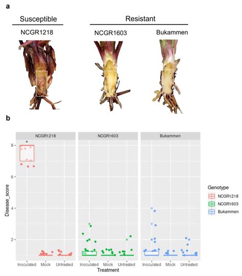 Comparative Transcriptome Analysis Reveals Novel Candidate Resistance Genes Involved In Defence