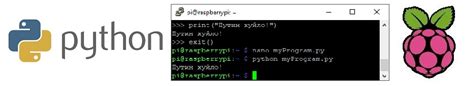 Як почати програмувати Raspberry Pi на Python — It Master електроніка та програмування