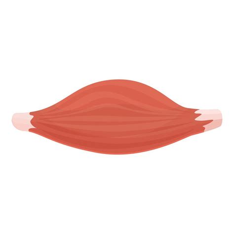 Flex Bicep Icon Cartoon Vector Strong Arm 23110963 Vector Art At Vecteezy