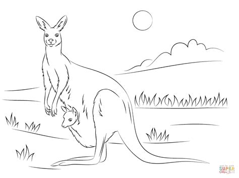 Cute Kangaroo With A Joey Coloring Page Free Printable Coloring Pages