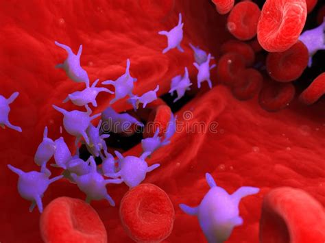 Plaquettes Sanguines Actives Illustration Stock Illustration Du