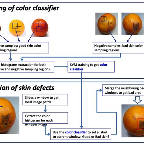 Flow Chart Of The Skin Defect Detection Download Scientific Diagram
