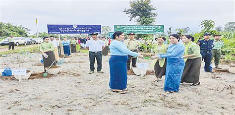 မိုင်းရယ်မြို့နယ်၌ မိုးရာသီသစ်ပင်စိုက်ပျိုးပွဲကျင်းပ Myawady Webportal