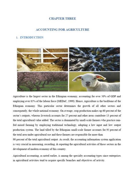 Advanced Fa I Chapter Three Pdf Agriculture Fair Value