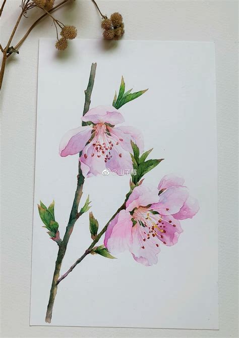 山子莓 作品 堆糖，美图壁纸兴趣社区